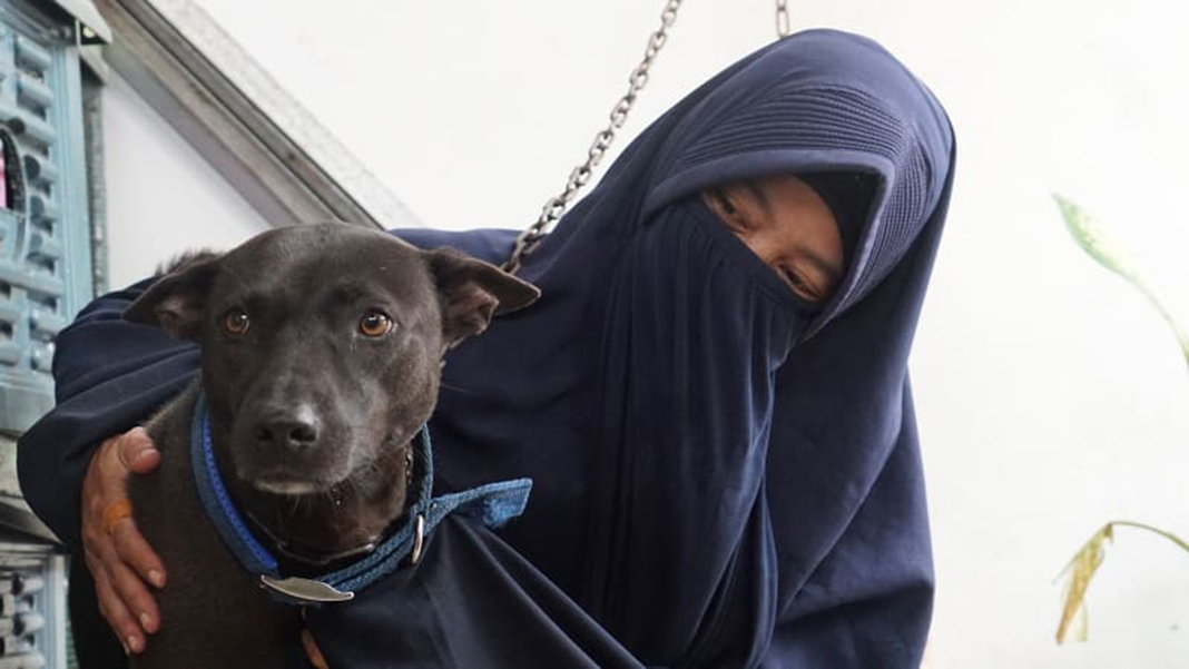 Memelihara Anjing di Rumah? Ini Syarat dan Hukumnya Menurut Islam ...